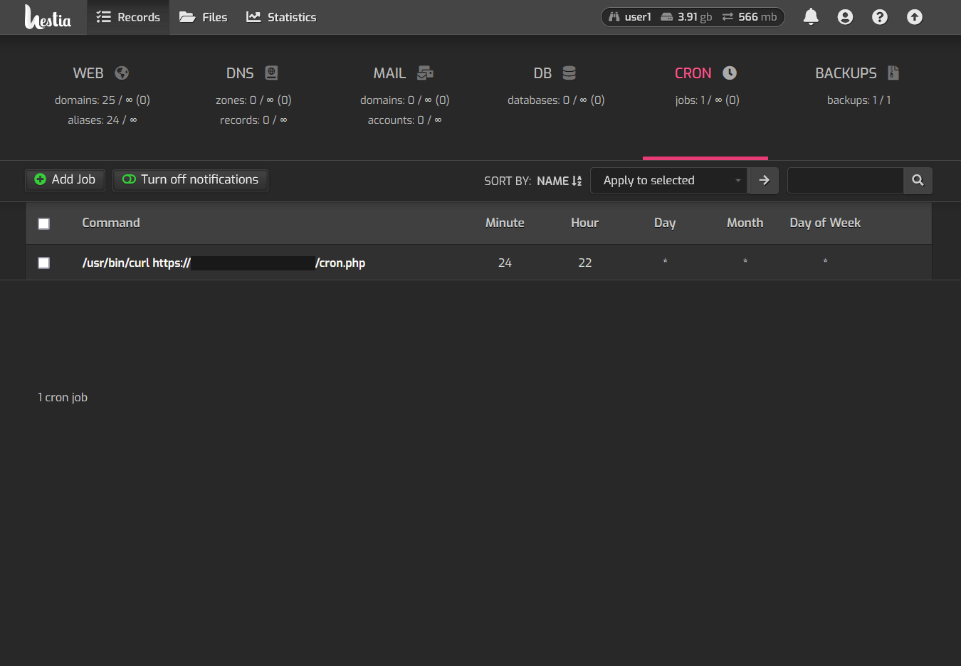 Custom Cron Job Not Working Cron Jobs Hestia Control Panel Discourse